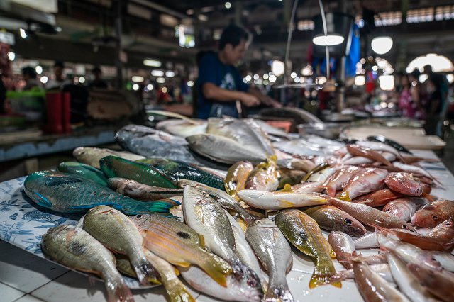 GWS00964 – Rare :: Fish Forever Data Portal